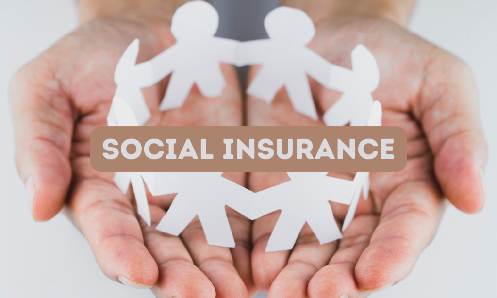What is the difference between social security and social insurance ...