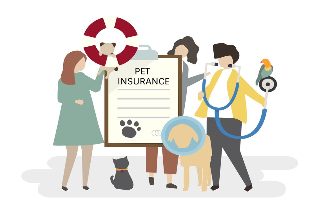 4 of the Most Common Questions About Pet Insurance, Answered ...